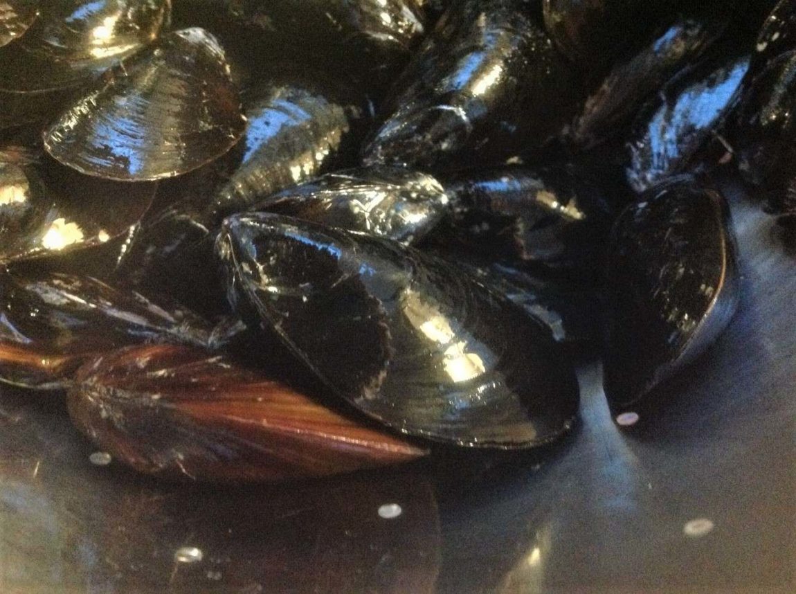 Mussels in Spicy Tomato Sauce – Sweet Thought